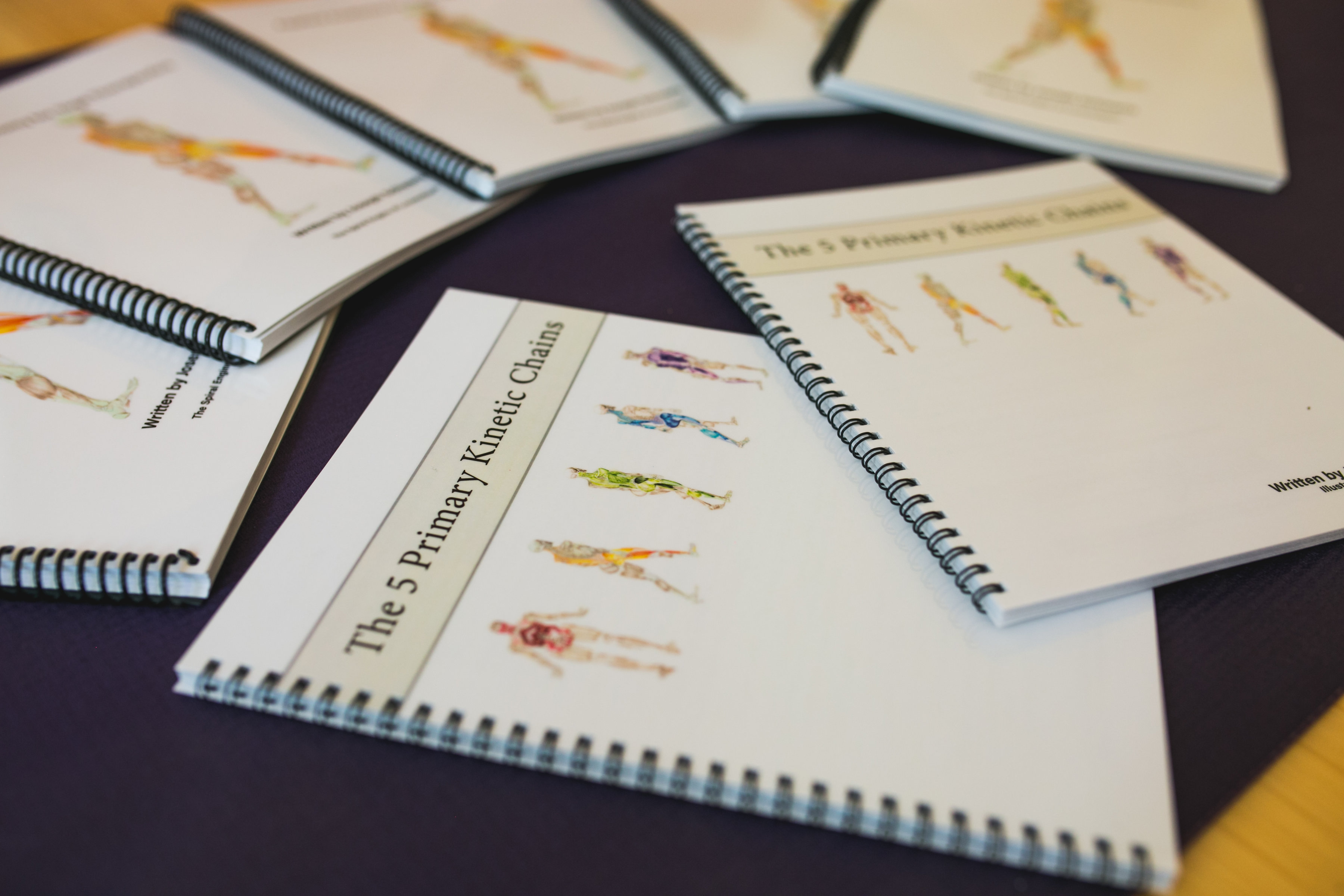 5 Primary Desktop – Welcome to Dynamic Neuromuscular Assessment™